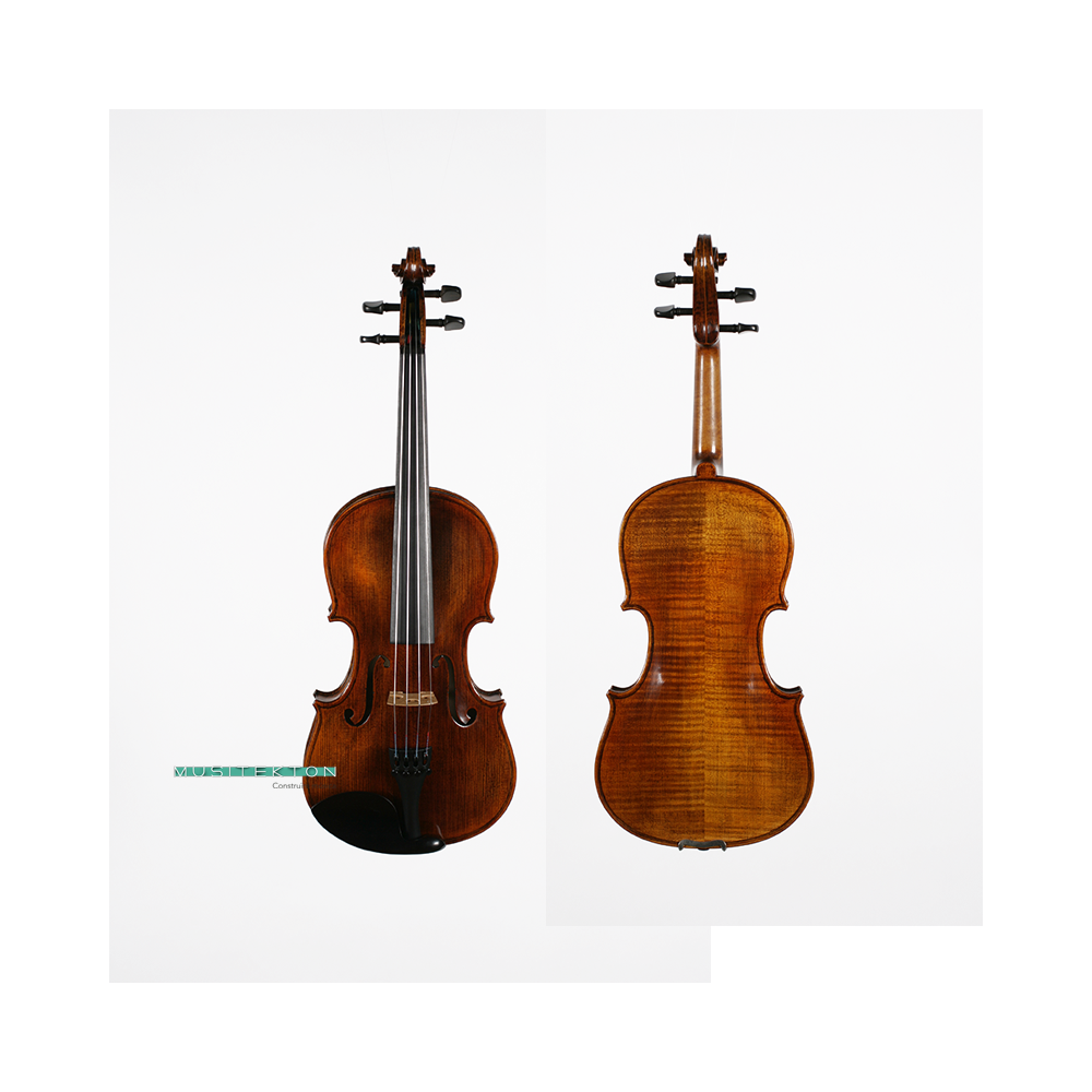 Comprar Violí Stentor Verona - Musitekton / Barcelona